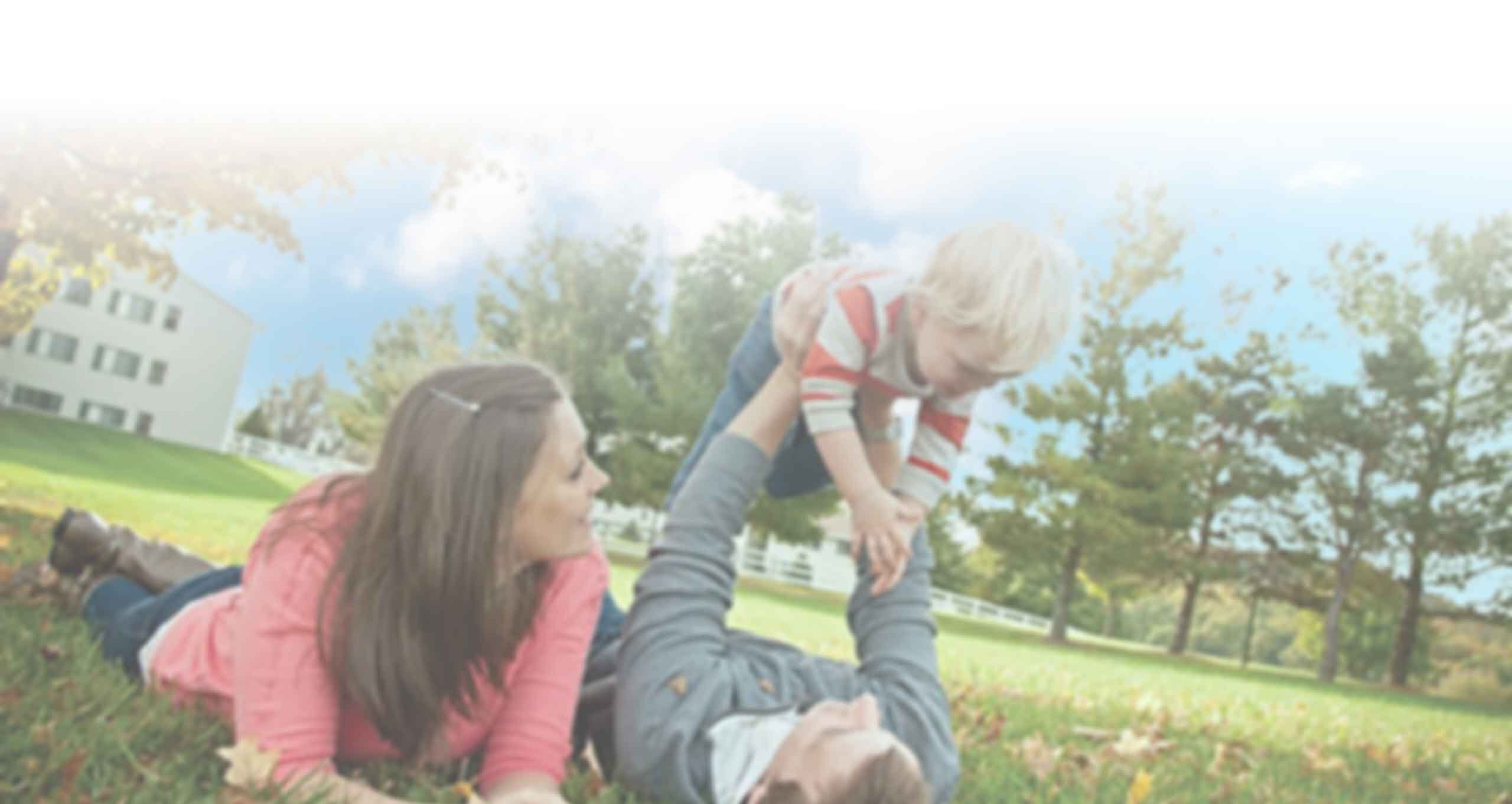 Contact Us – Mold-X