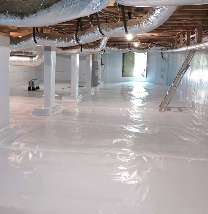 Mold-X – Mold-X – Complete Mold Remediation – Cashiers, NC